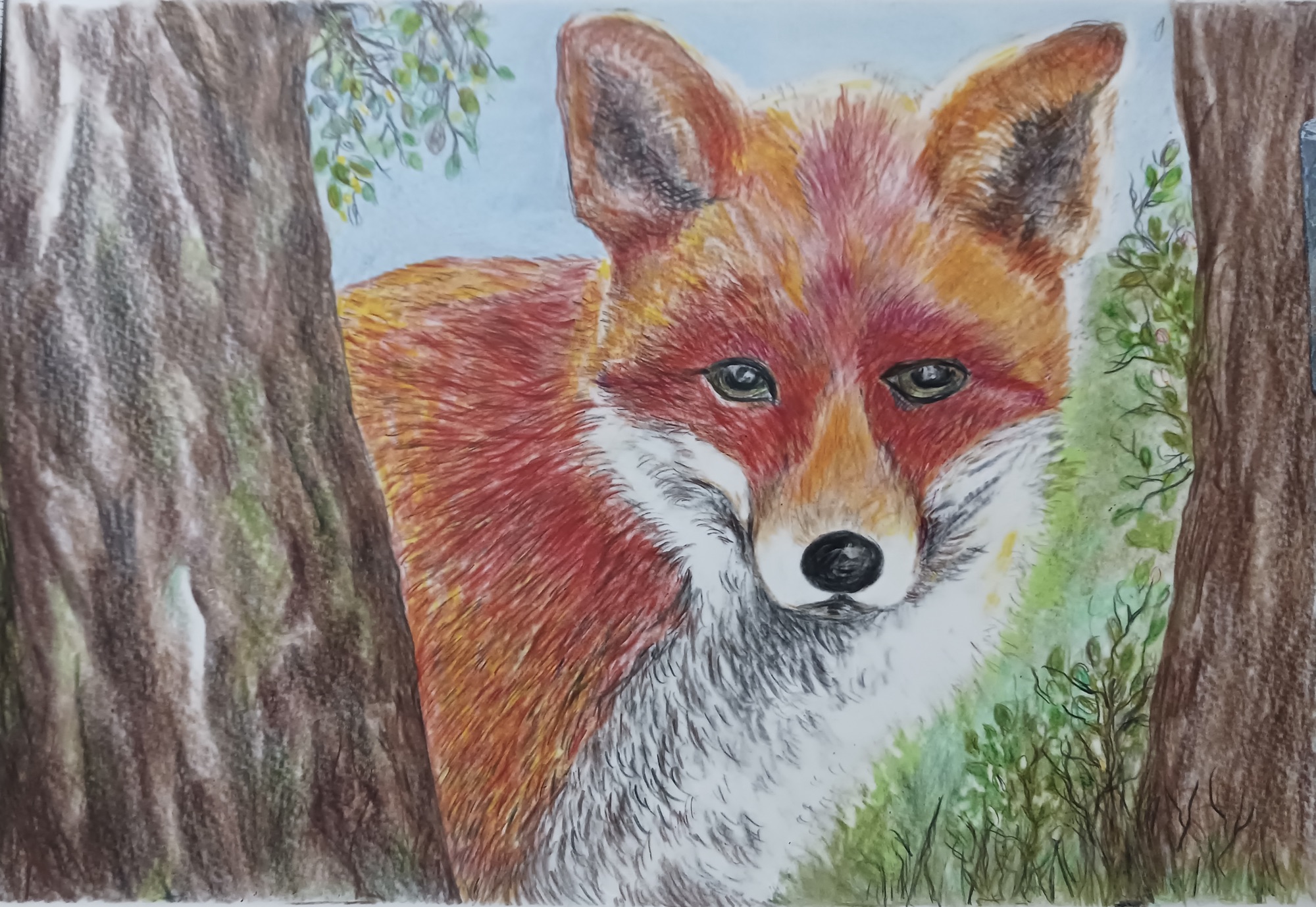 Finished coloured pencil pictures | Chalk Art Group