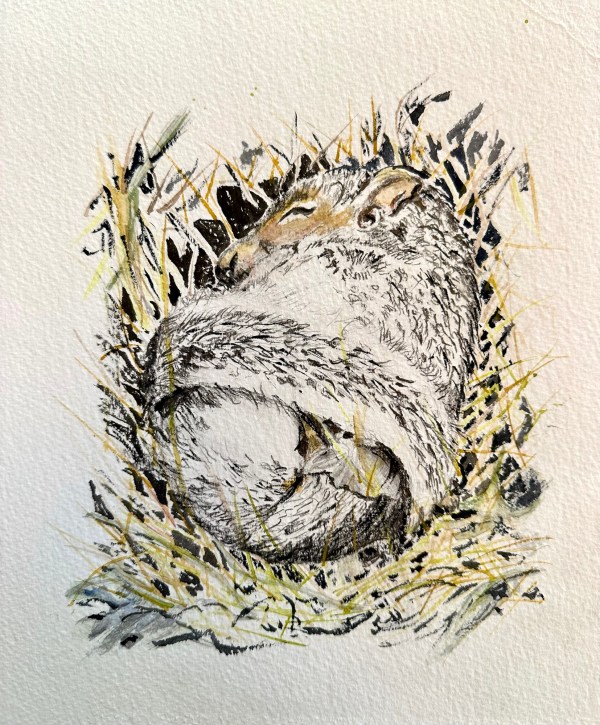 Animals in Winter – January 2026 – Saturday | Chalk Art Group